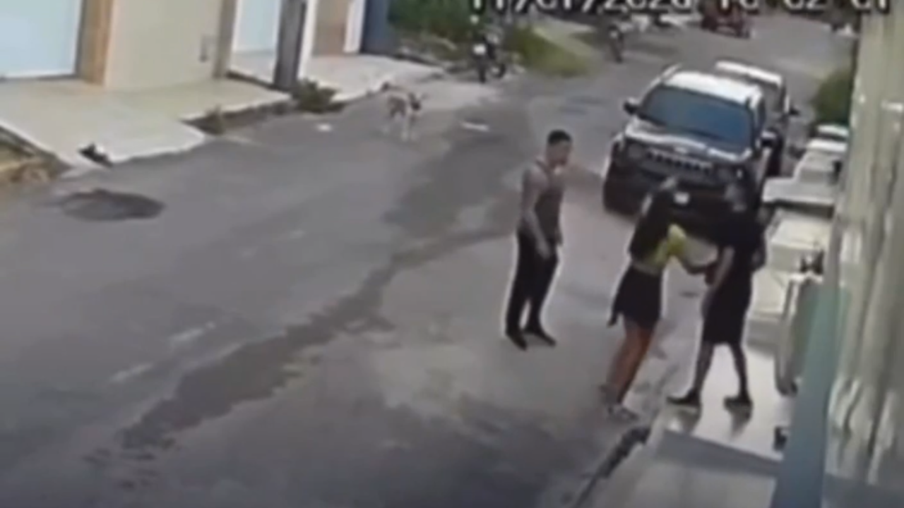 Vídeo: Tutor de pitbull agride mulher após cão atacar ela e seus ...